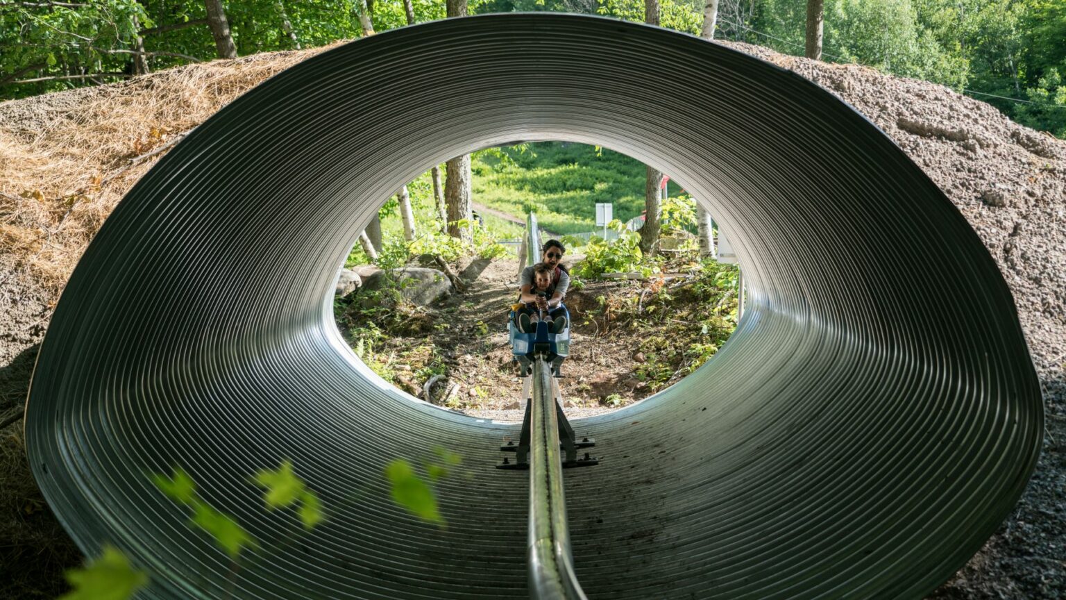 Mountain Coaster - Camp Fortune