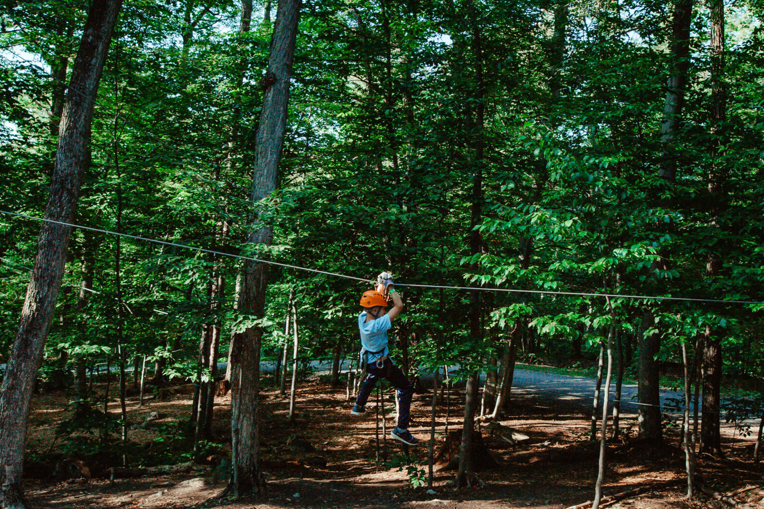 2 unique ways to zipline at Camp Fortune… - Camp Fortune