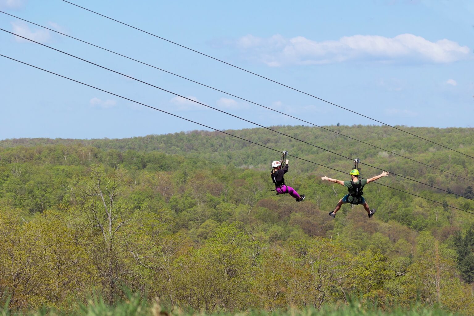 Summer - Camp Fortune