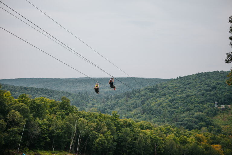 Discover - Camp Fortune